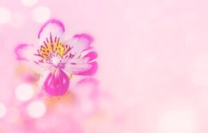 Spatial Stories: Describing Rooms In Your Writing With Precision ...